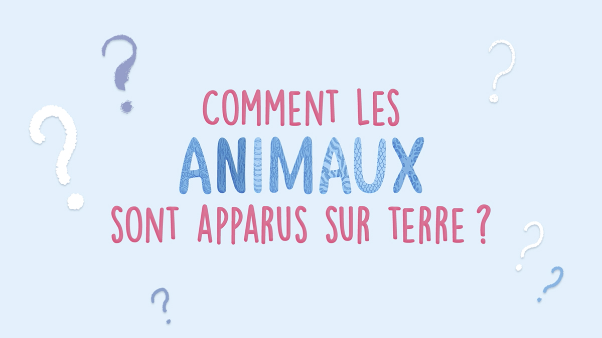Comment les animaux sont apparus sur Terre ? | Milan jeunesse | Milan ...