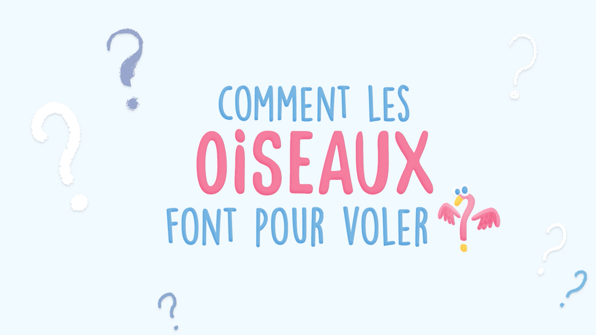 Comment les oiseaux font pour voler ? | Milan jeunesse | Milan Jeunesse Comment les oiseaux font pour voler ? | Milan jeunesse | Milan Jeunesse