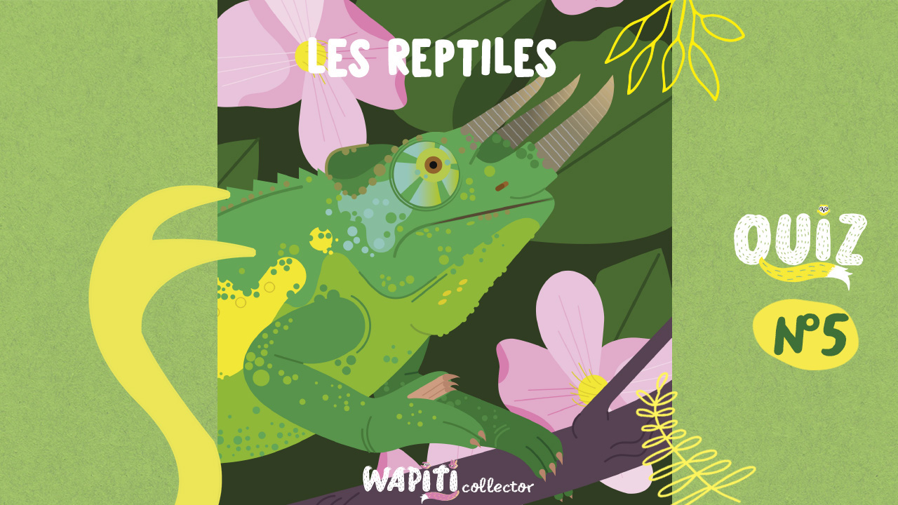 Quiz Wapiti Collector N°5 - Les reptiles | Milan jeunesse | Milan Jeunesse