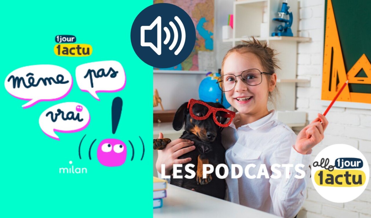 Même pas vrai ! et Allo 1jour1actu, des podcasts qui font cogiter ...