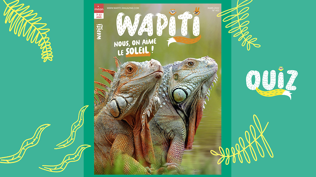 Wapiquiz du mois de mars | Milan jeunesse | Milan Jeunesse