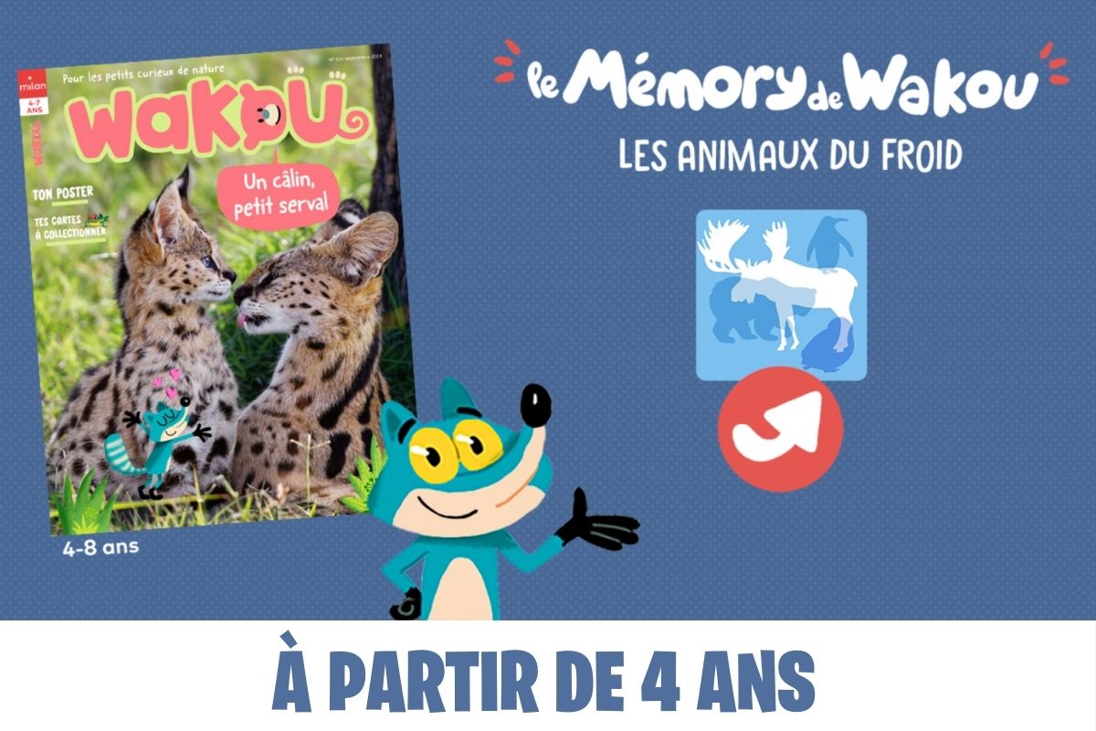 Memory : les animaux du grand froid ! | Milan jeunesse