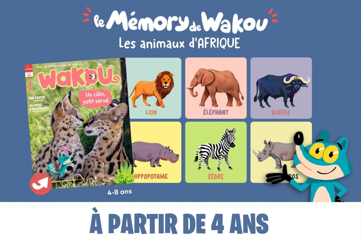 Memory : les animaux d'Afrique ! | Milan jeunesse | Milan Jeunesse