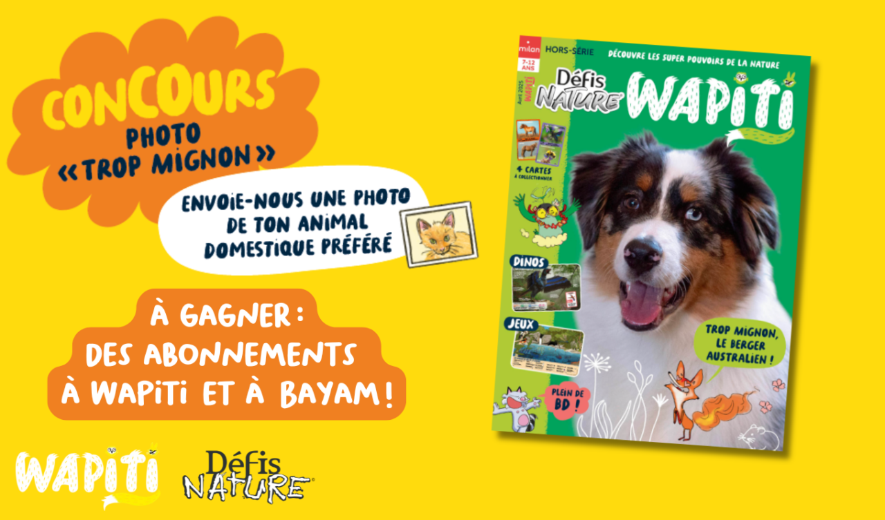 Participez au concours photo "Trop mignon" de Wapiti Hors-Série Défis ...